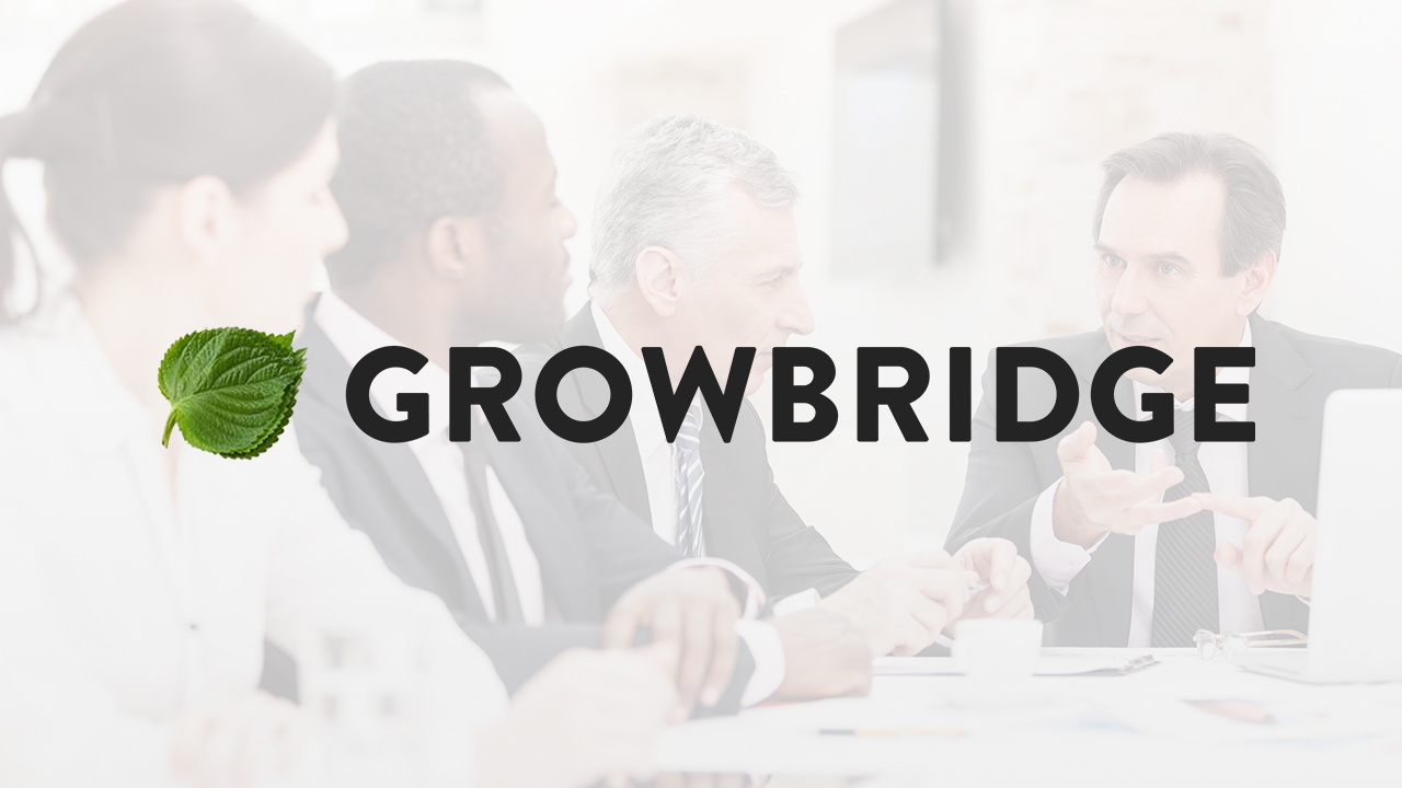 Growbridge Advisors - Optimise for Growth